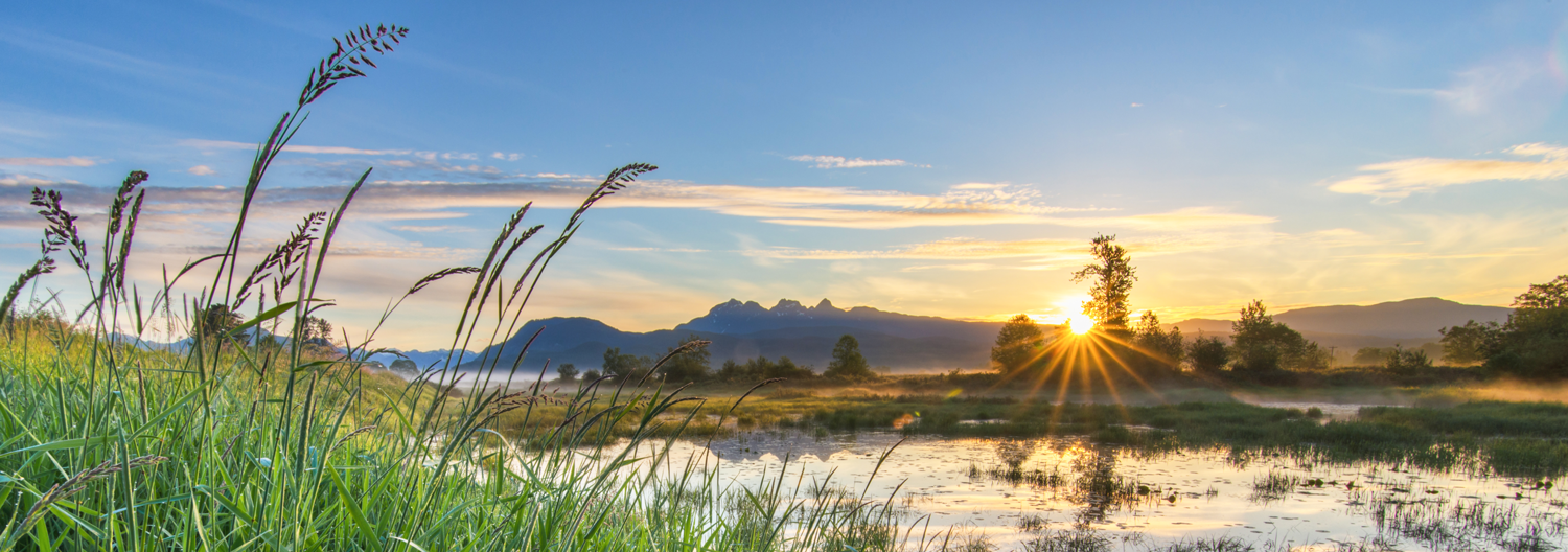 August Market Stats - Maple Ridge | Terri Smith