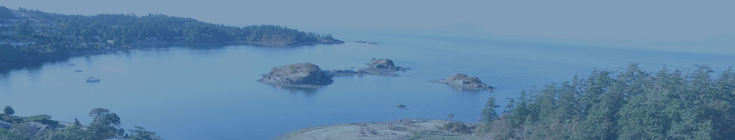 Neighbourhood Spotlight - Hammond Bay | Island Roots Group - Susan ...