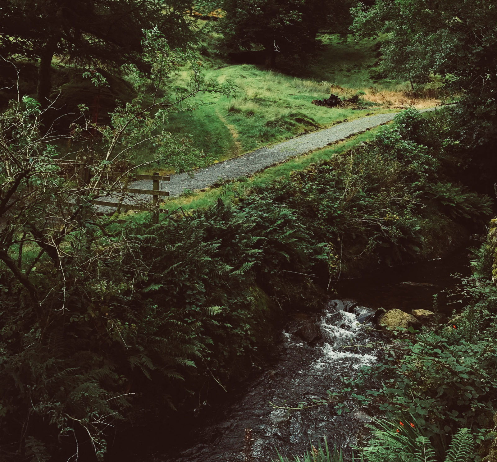 What You Need to Know About Watercourses | Amy Brattebo